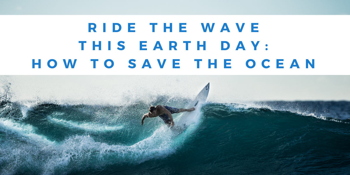 Ride this Wave to Save the Ocean | Marine Diesel Specialists